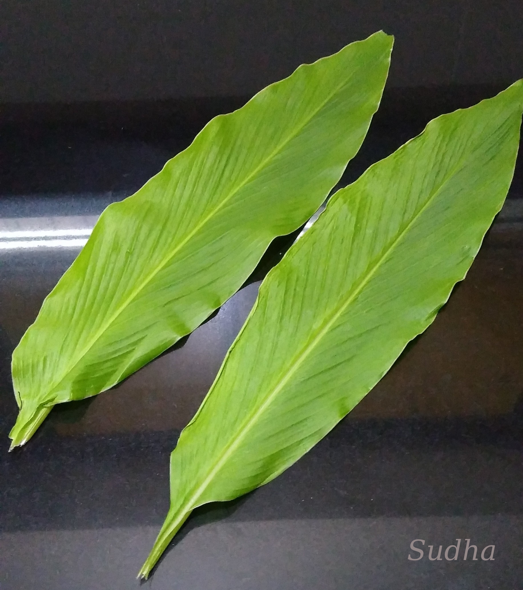 Patole (पातोळे) – Rice Dumplings Steamed in Turmeric leaves | My Family ...