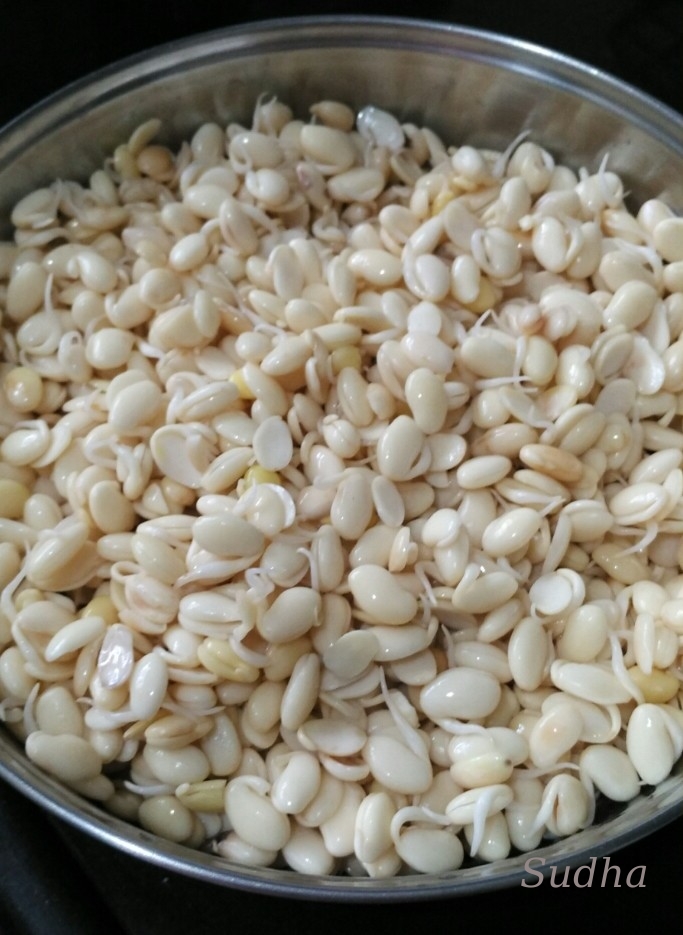 Dalimbi Usal (डाळींबी उसळ) - Val Usal / Field Beans Usal | My Family ...