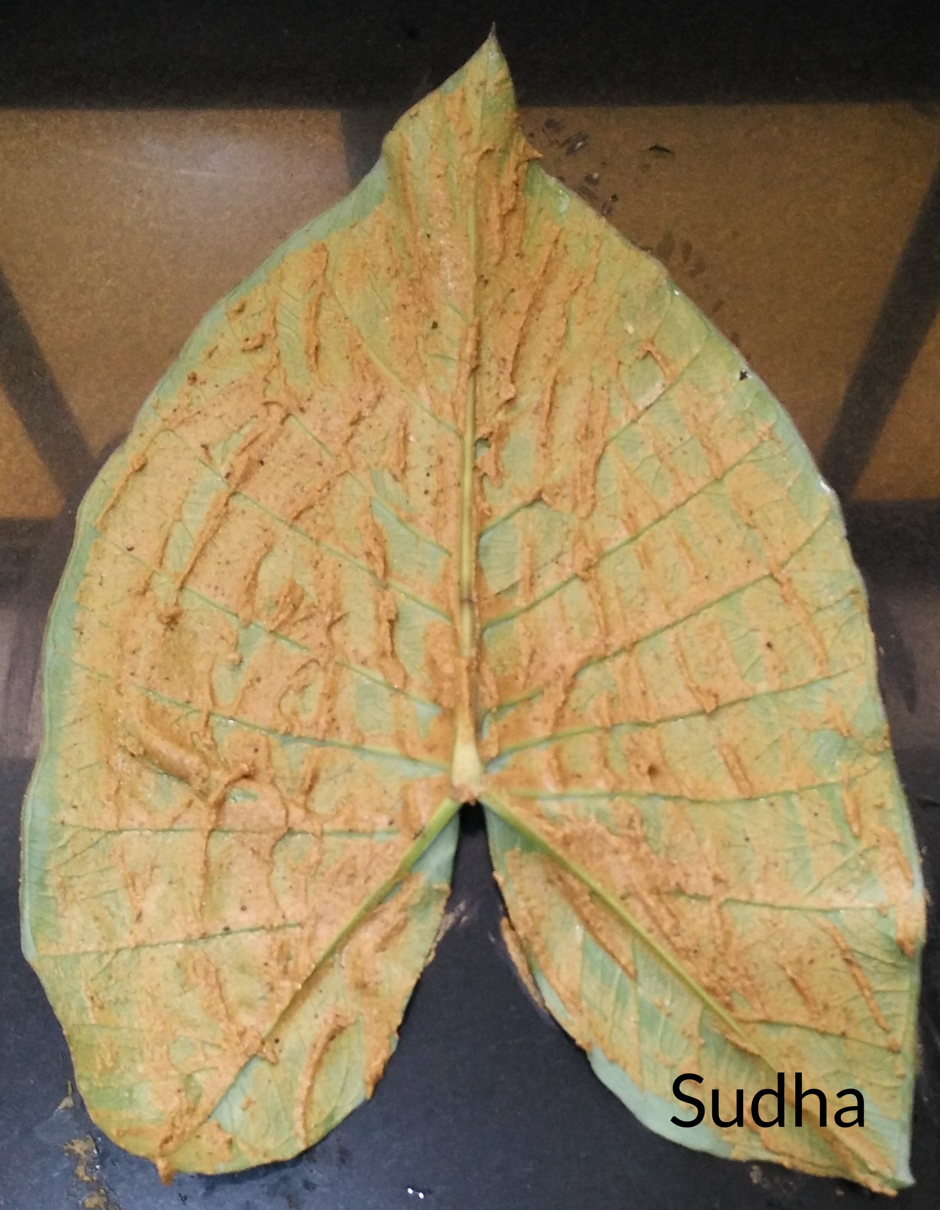 Aluvadi (अळूवडी) - Colocasia Leaves Snack – A Maharashtrian Specialty ...