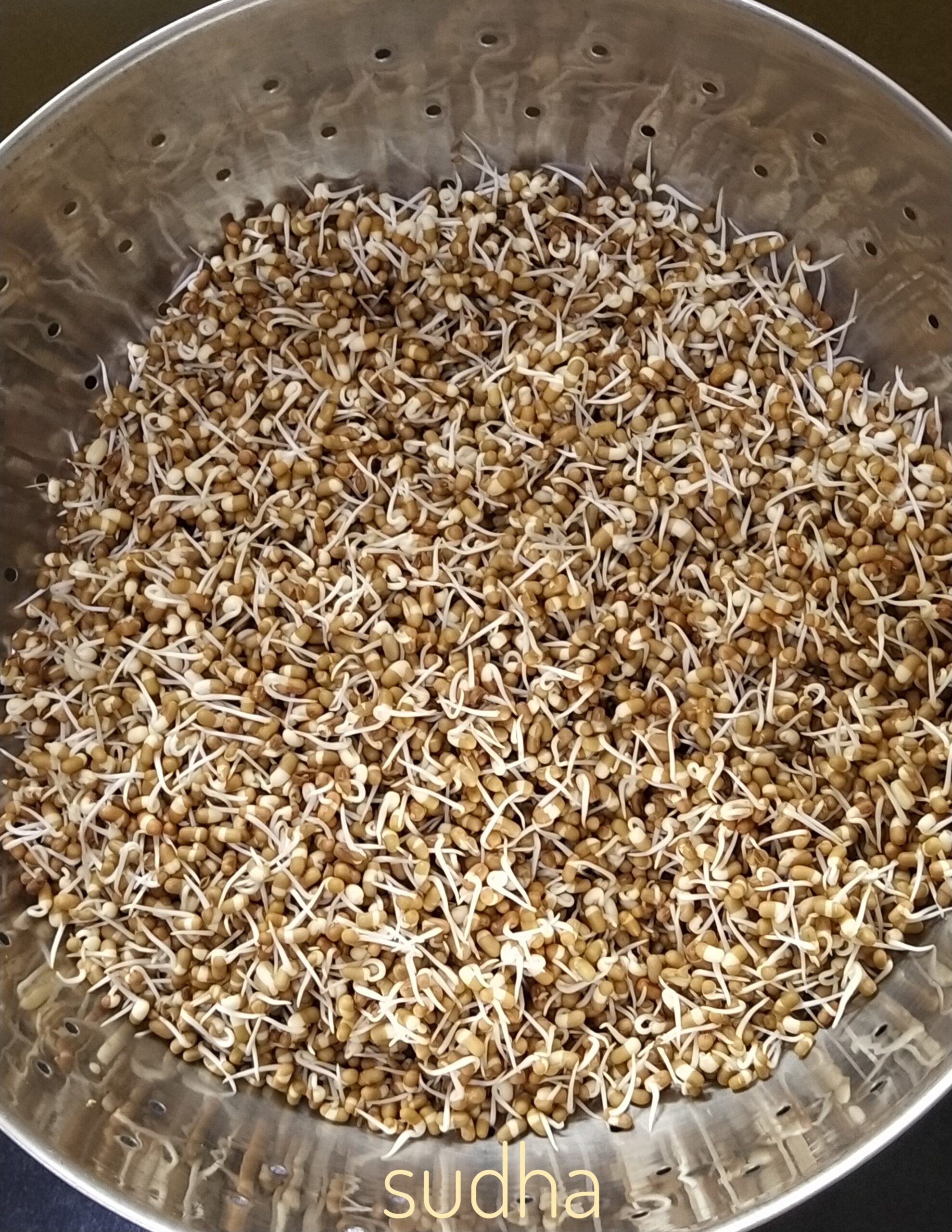 How to Sprout Pulses? (कडधान्यांना कसे मोड काढावे?) | My Family Recipes