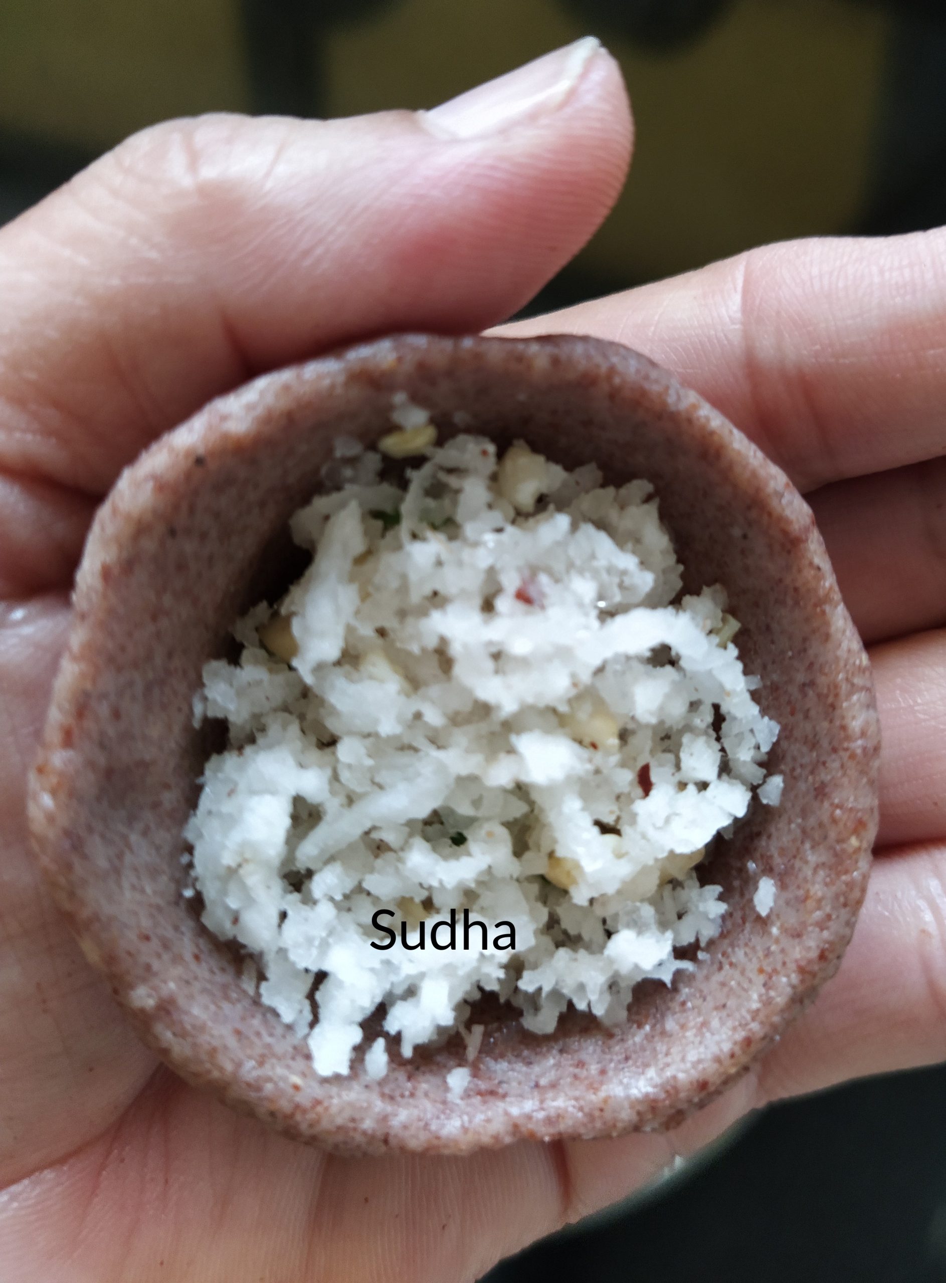Steamed Nachani Kachori (नाचणीची वाफवलेली कचोरी) – Steamed Finger ...